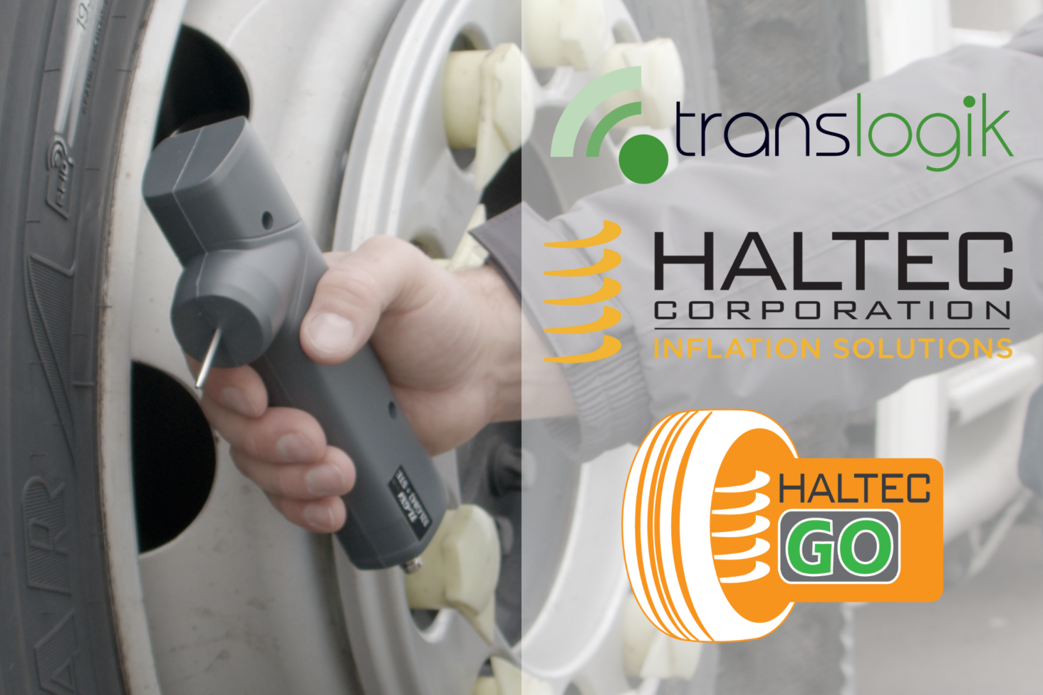 Transense and Haltec Announce Strategic Partnership for… | Transense